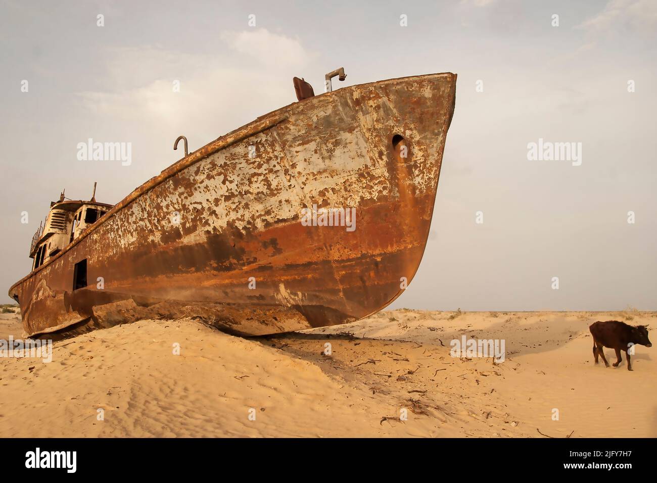 Stranded and rusty fishing boats on the former lakebed of the Aral sea ...