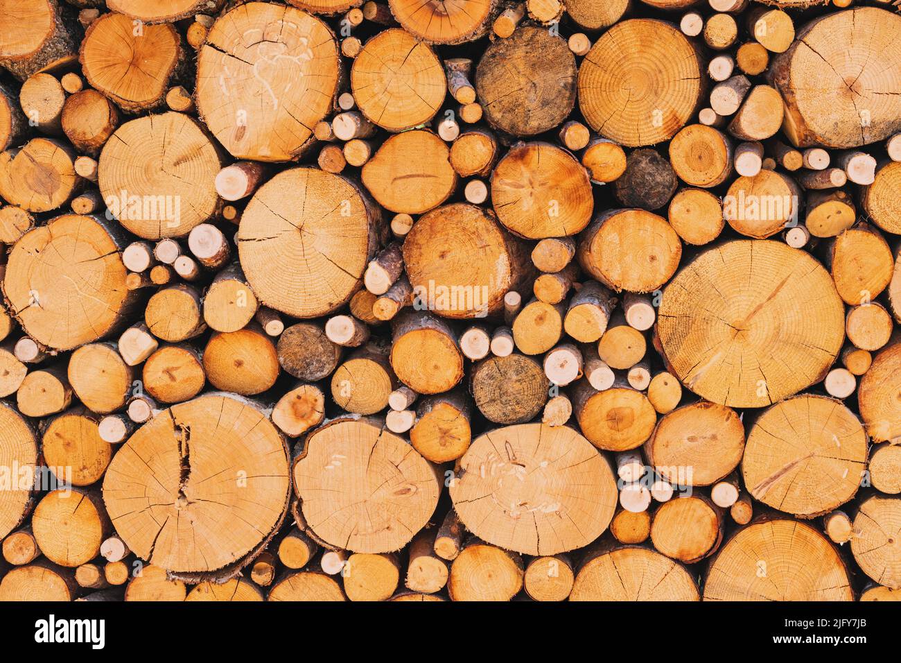 A lot of sawn branches and trunks of different diameters as decoration ...