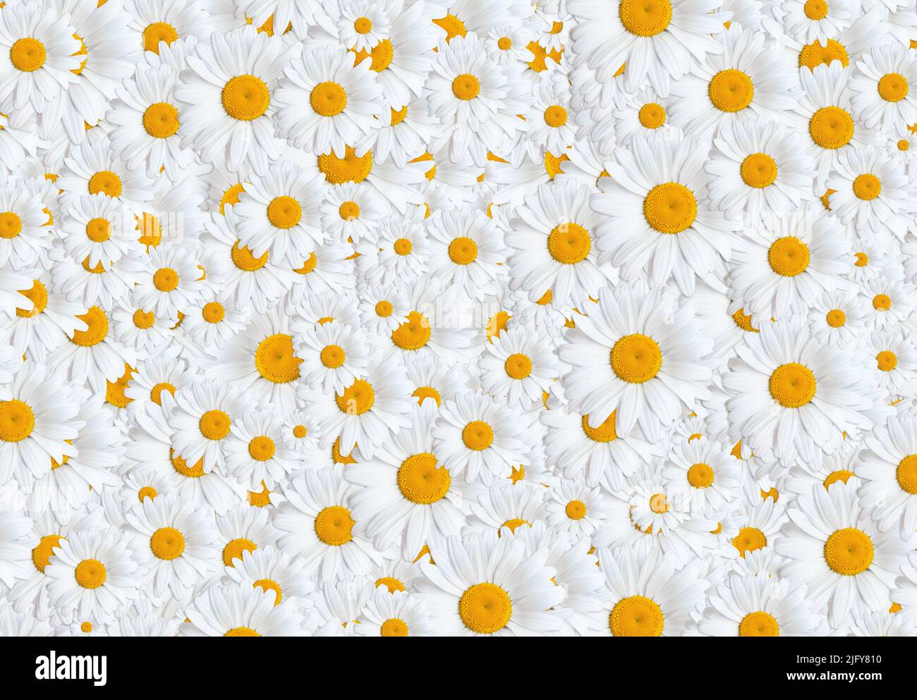 Abstract large print wallpaper hi-res stock photography and images - Alamy