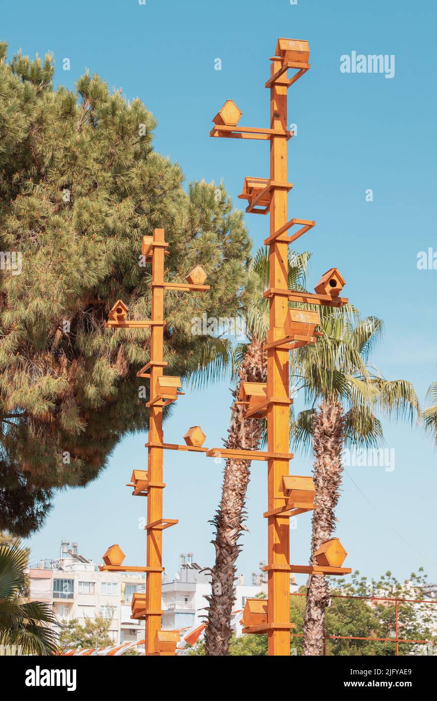 Tree with lot of birds in nest hi-res stock photography and images - Alamy