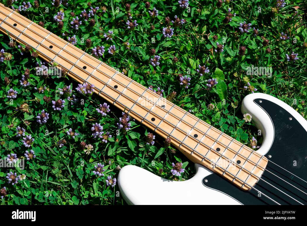 Electric Bass in The Grass Stock Photo - Alamy