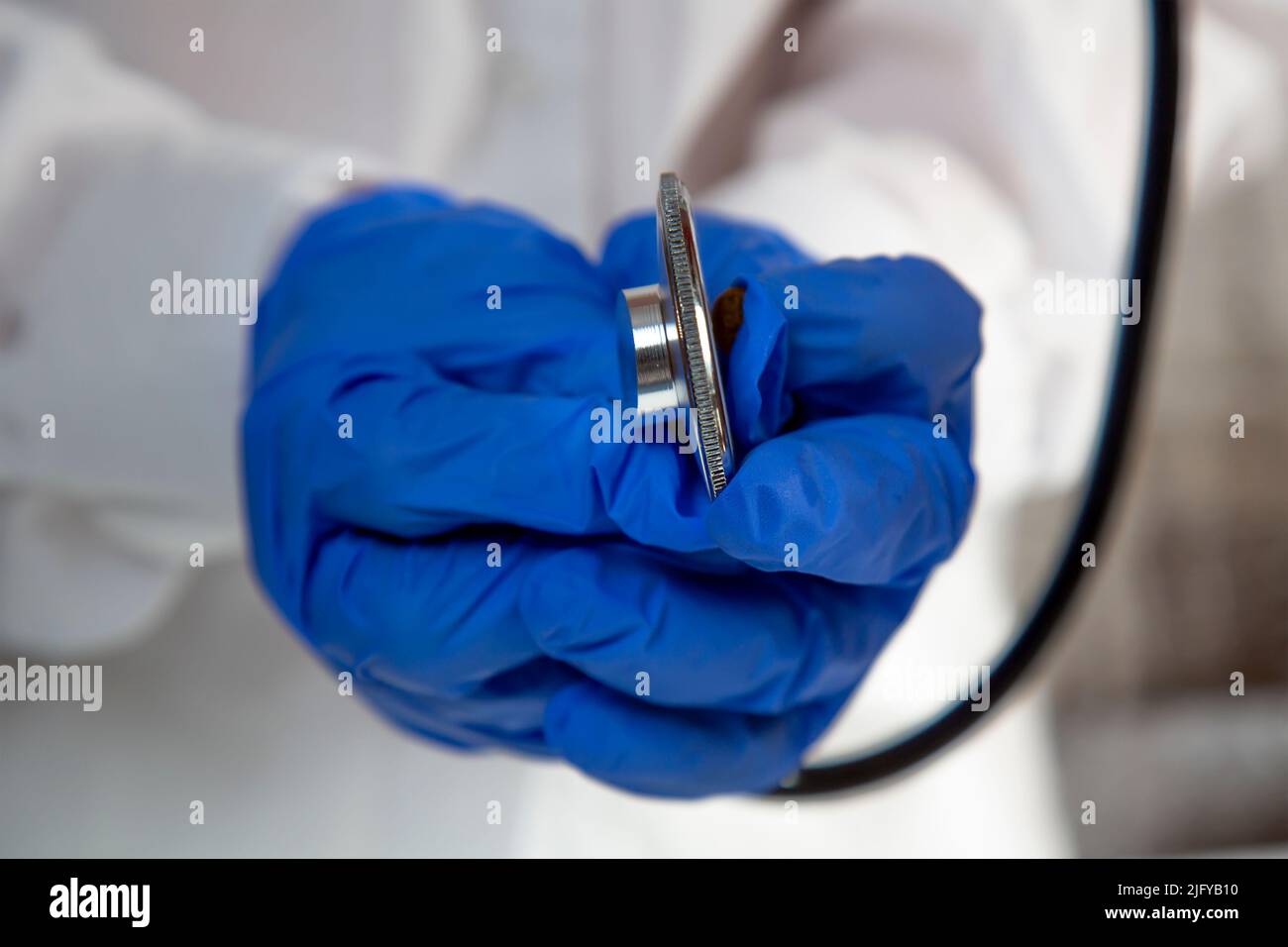The doctor's hands in blue gloves holding a stethoscope. Close-up. The ...
