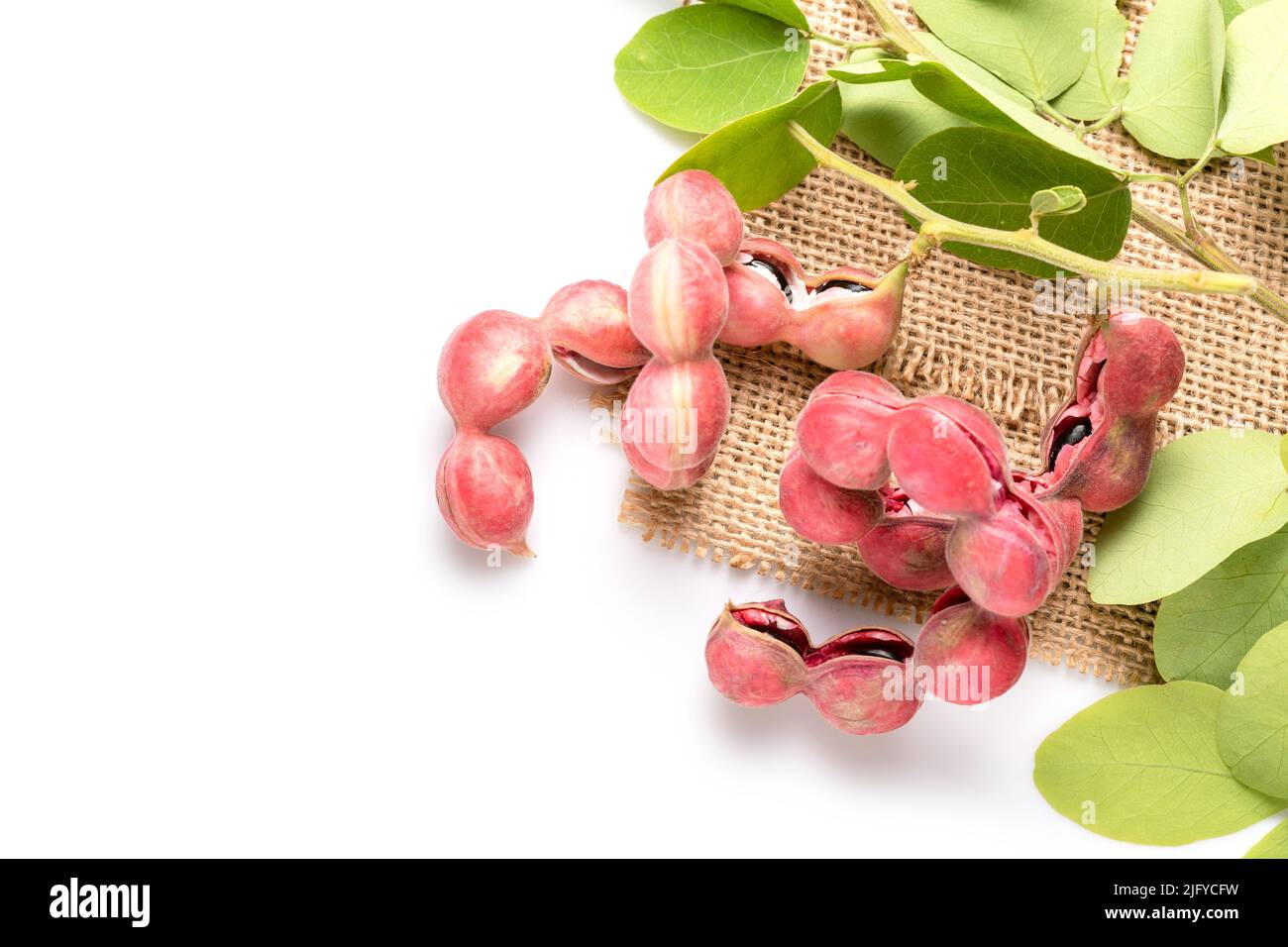 Pithecellobium hi-res stock photography and images - Alamy