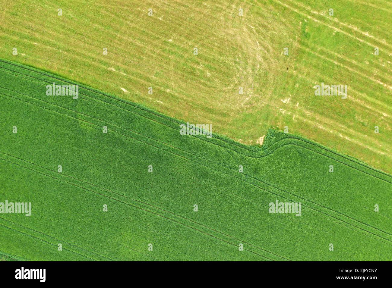 Aerial view of agricultural fields. Natural grass texture Stock Photo ...