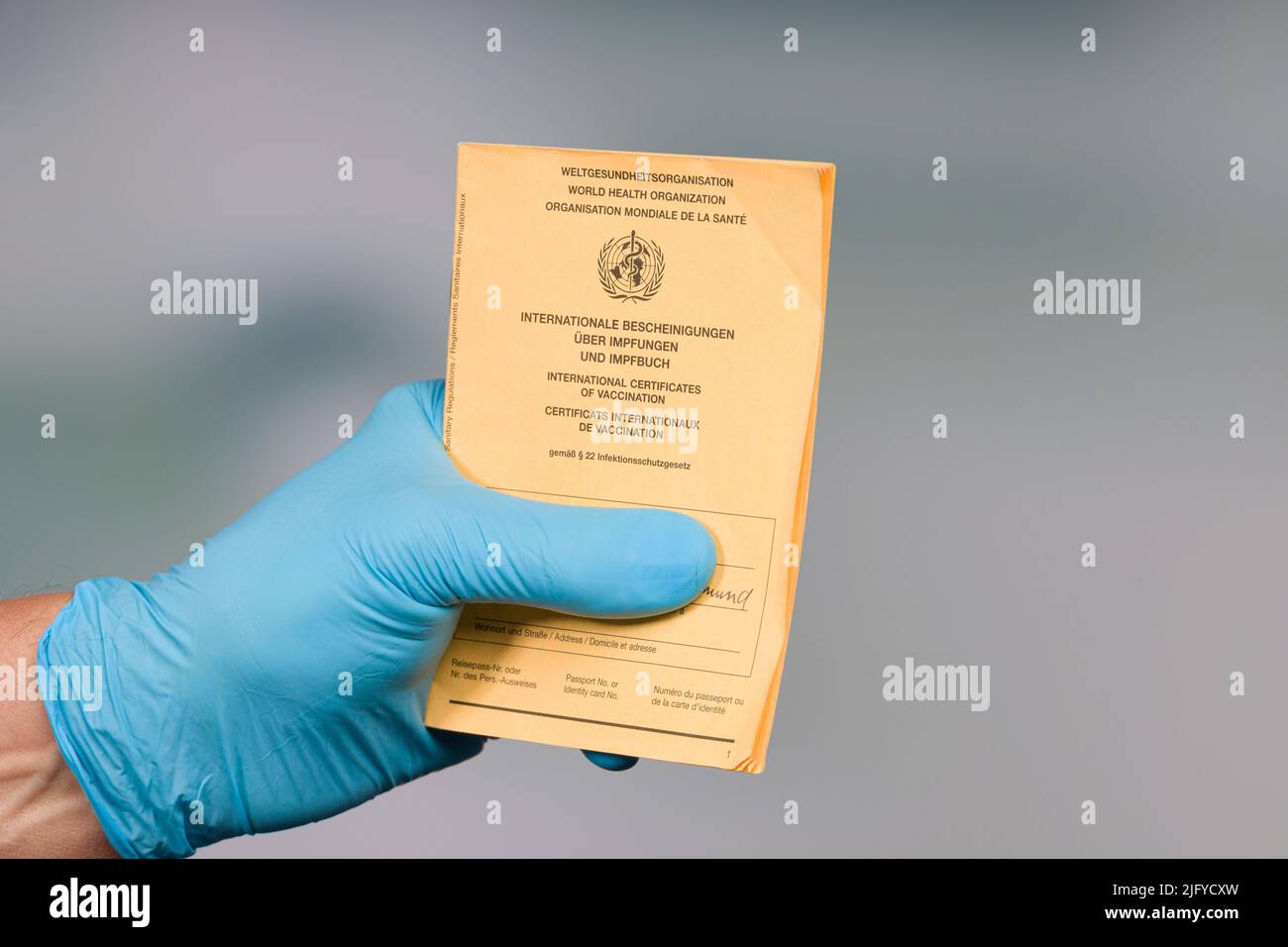 doctor's hand with document of international certificates of ...