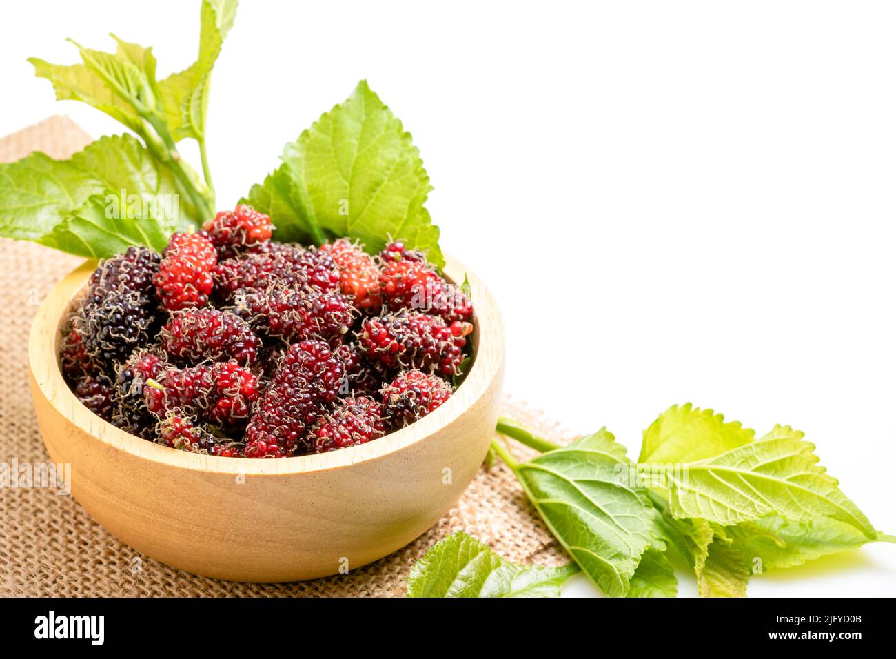 Close up fresh Mulberry with green leaf isolated on white background ...