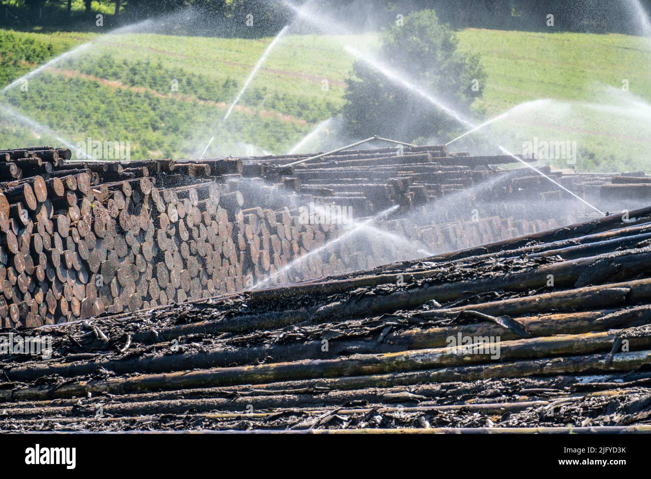 Wet wood storage of a sawmill, timber that is stored for a longer ...