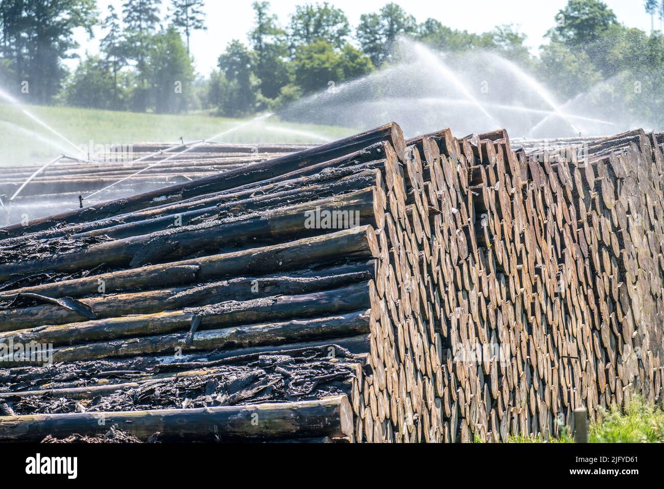 Wet wood storage of a sawmill, timber that is stored for a longer ...