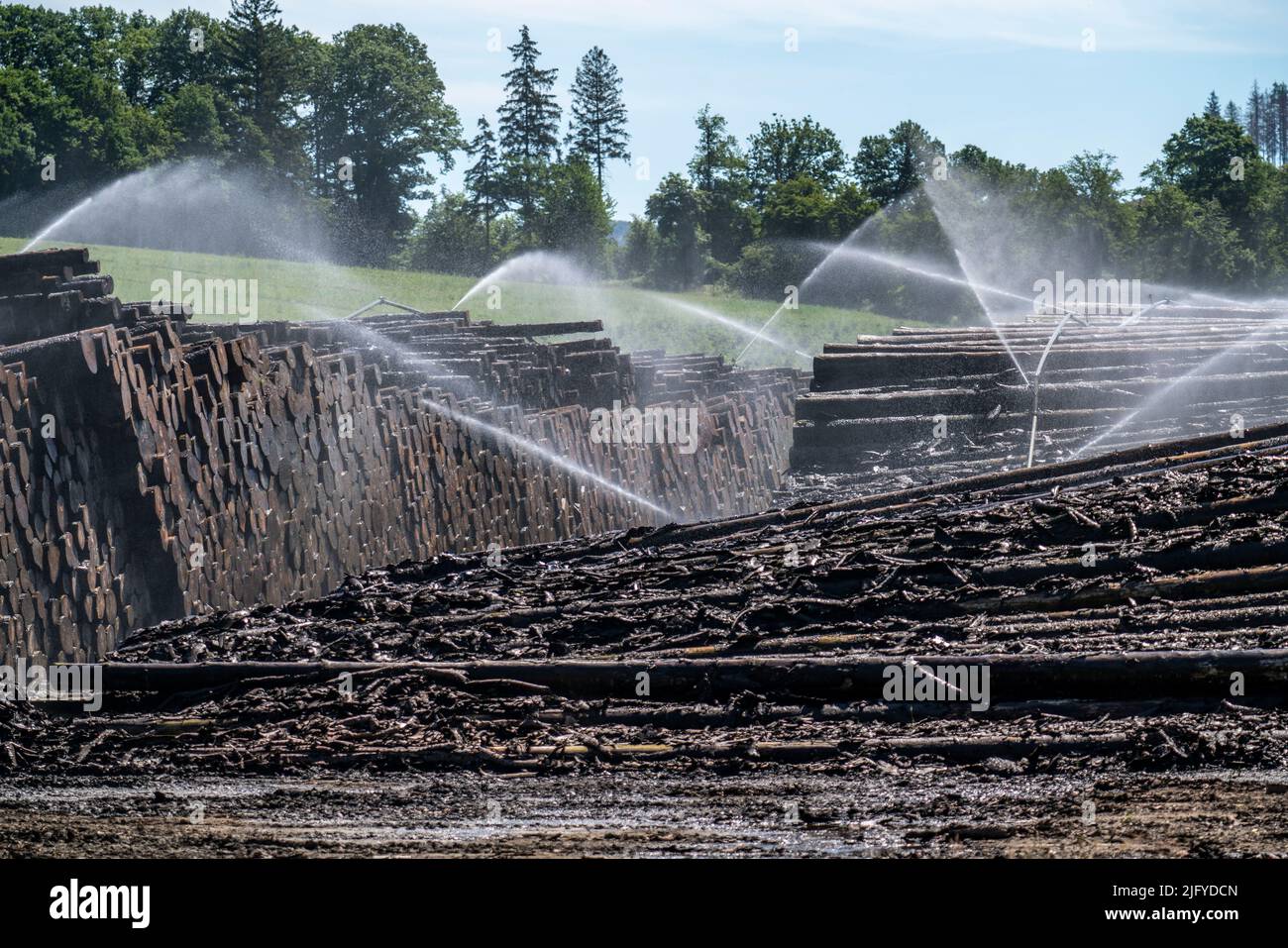 Wet wood storage of a sawmill, timber that is stored for a longer ...