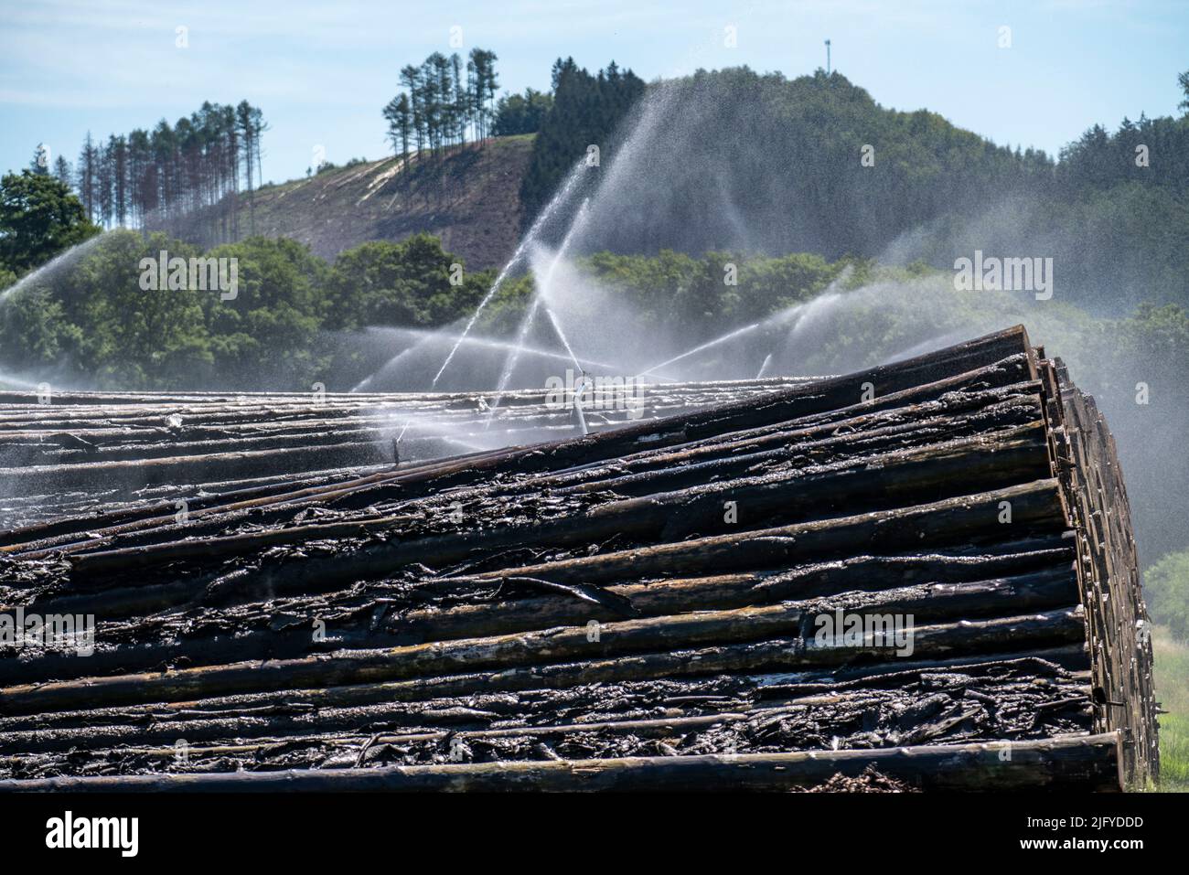 Wet wood storage of a sawmill, timber that is stored for a longer ...