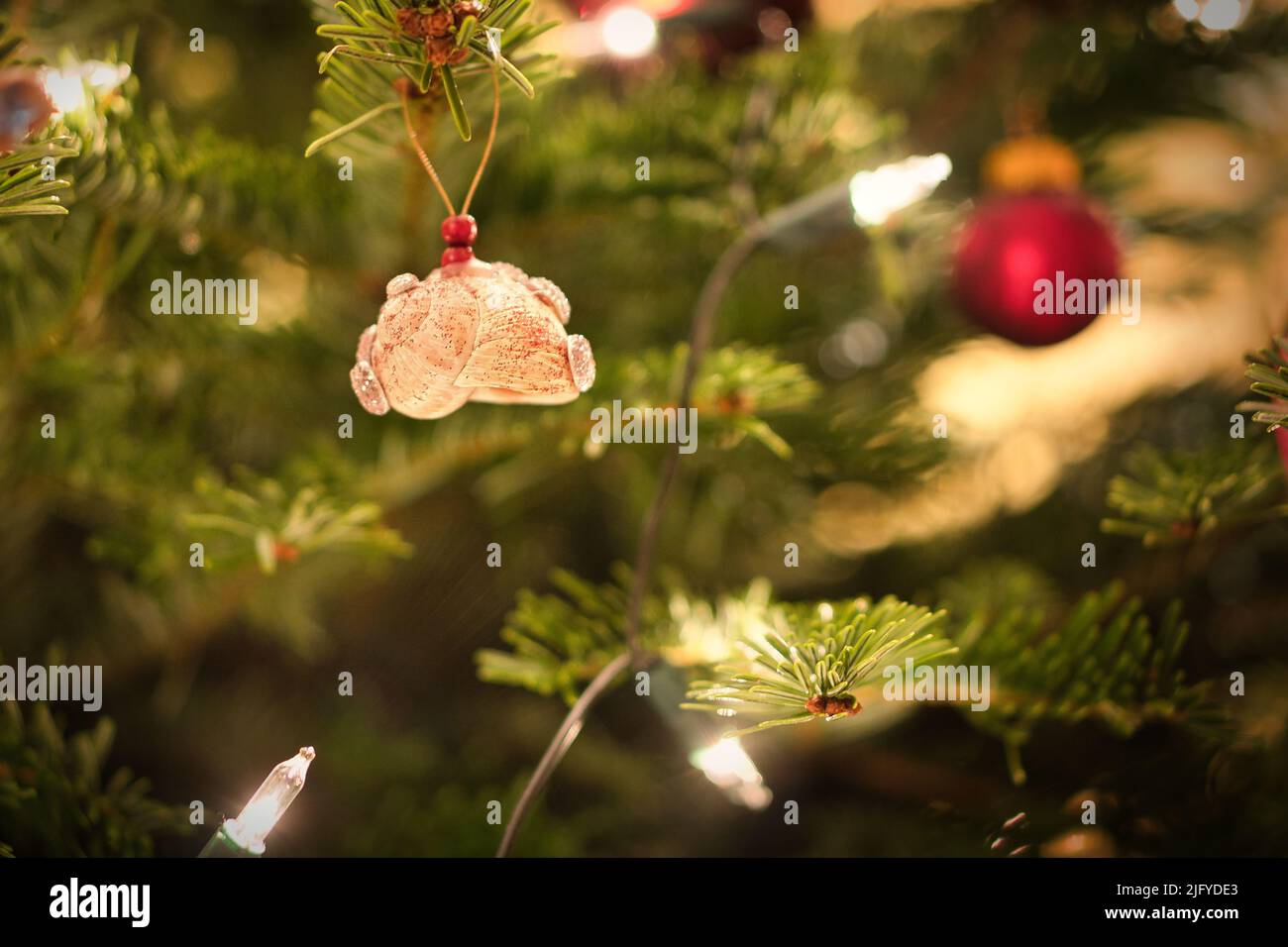 Casing tree hi-res stock photography and images - Alamy