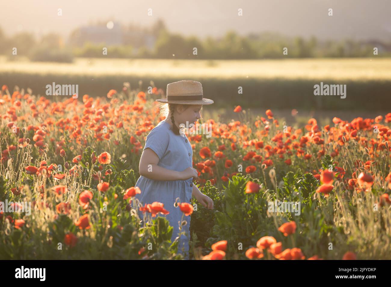 Cute little girl having fun in a poppy field in magic sunset Stock ...