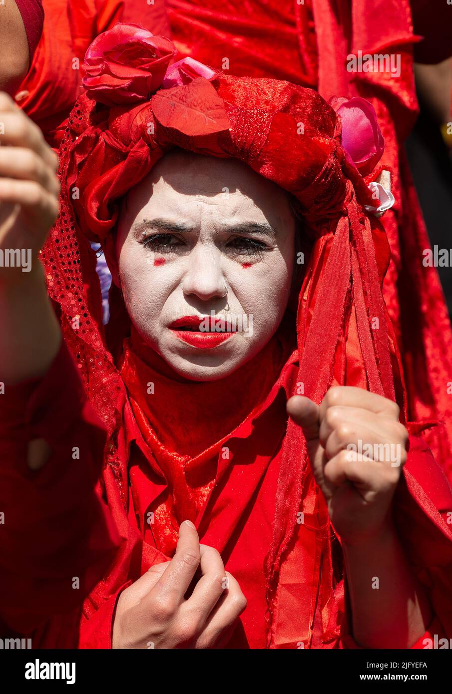 The Red Brigade at the Extinction Rebellion demonstration, at Oxford ...