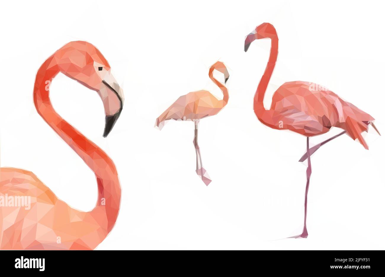 A vector illustration of three flamingos in Low Poly style against the ...