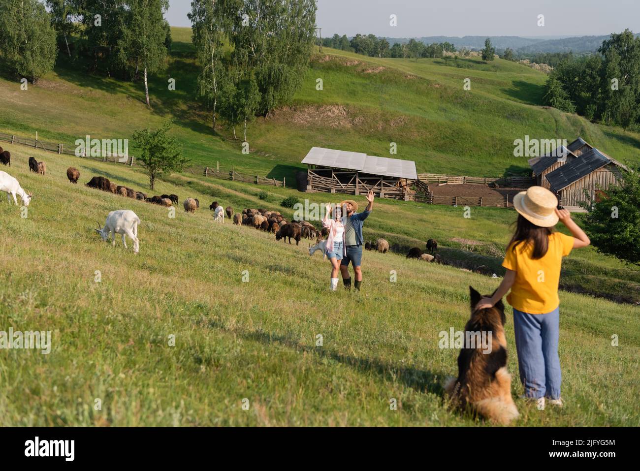 child with dog waving hand to parents herding cattle in picturesque ...