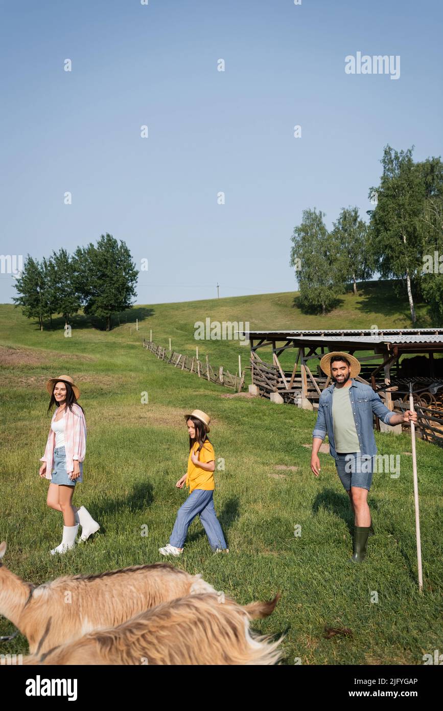 happy family in straw hats walking on farmland near grazing cattle ...
