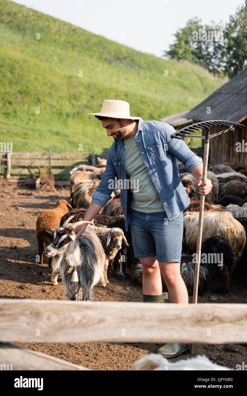 Corral for cattle hi-res stock photography and images - Alamy