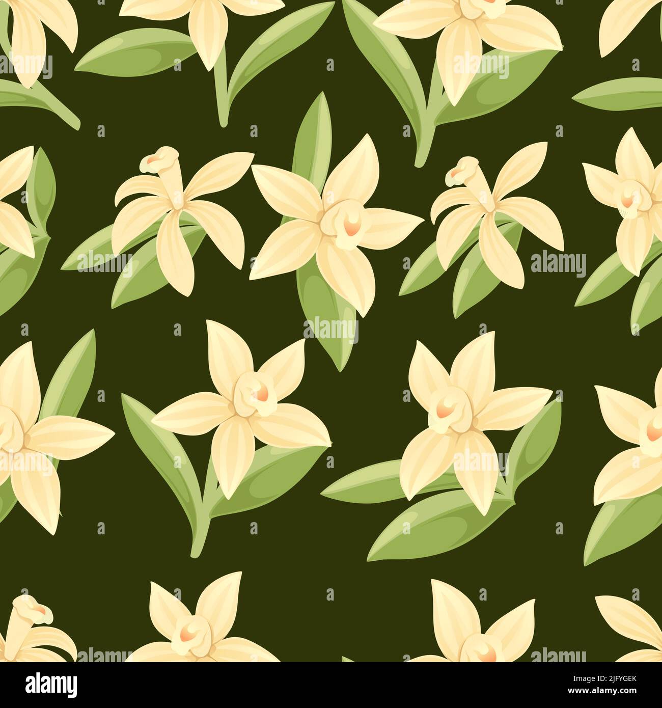 Vanilla plant illustration hi-res stock photography and images - Alamy