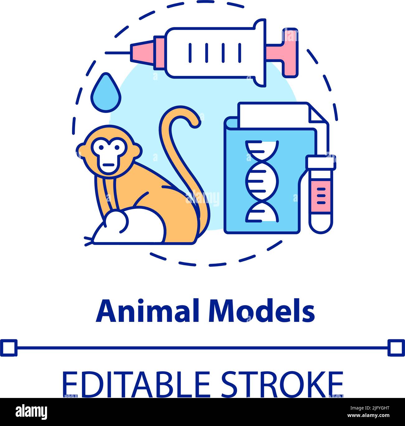 Animal models concept icon Stock Vector Image & Art - Alamy
