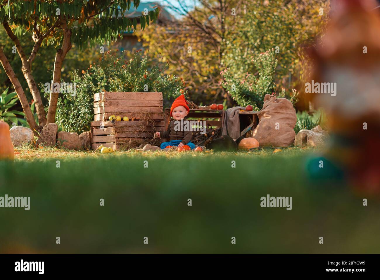 Cute little boy in costume of dwarf sitting in kitchen-garden with ...