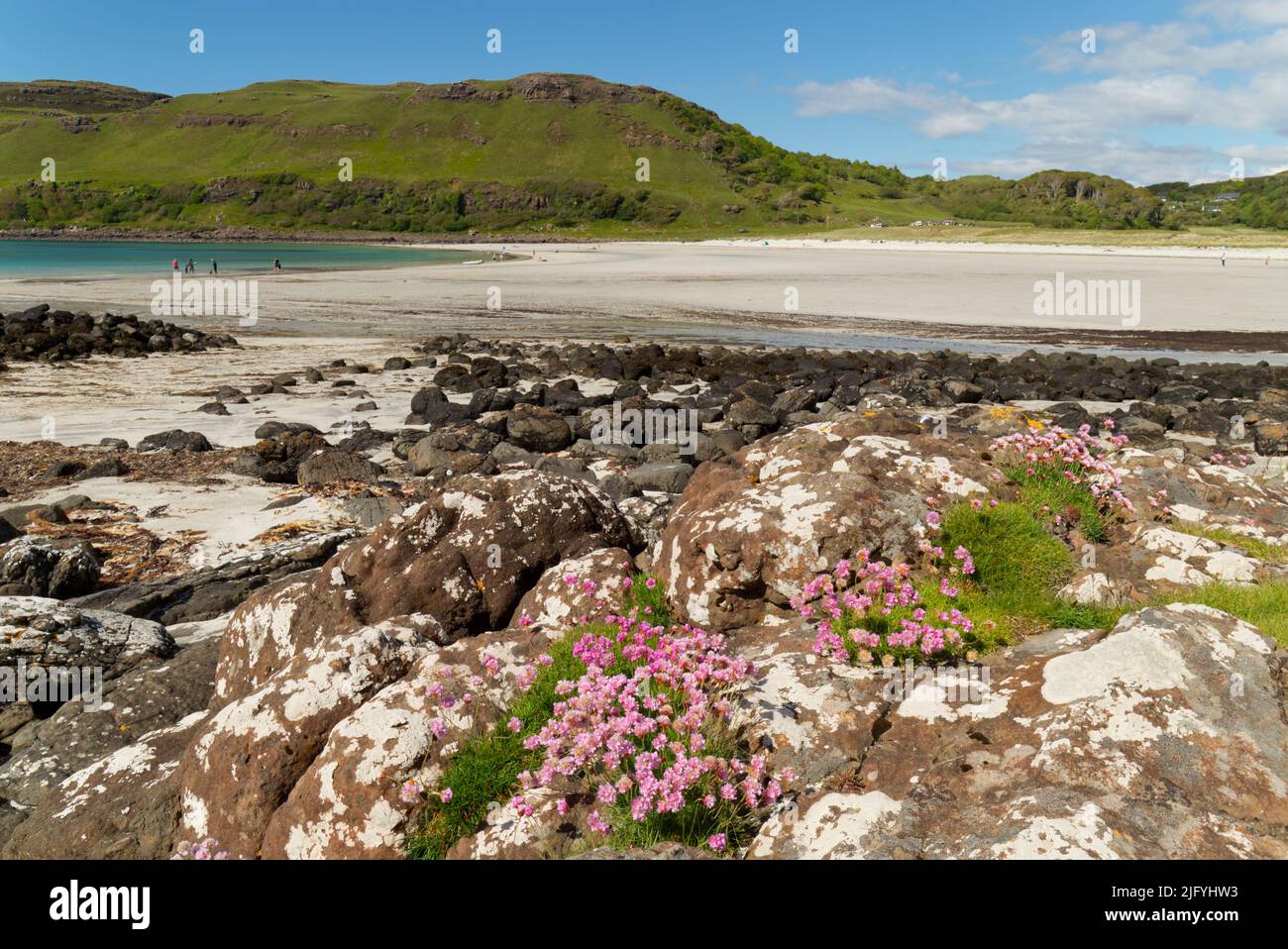 Calgary Beach, Isle of Mull, Inner Hebrides Stock Photo - Alamy
