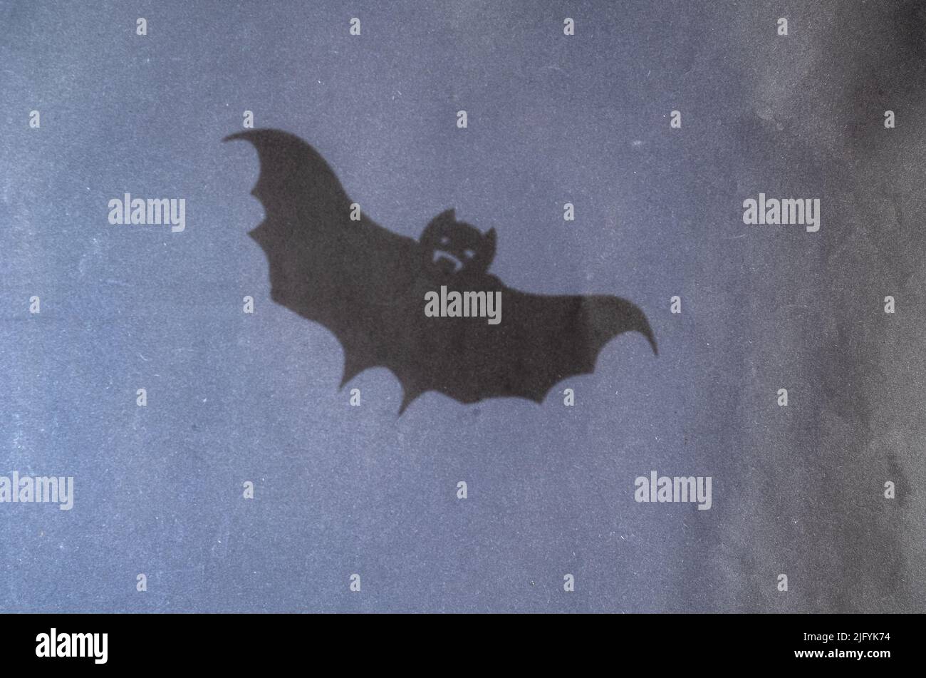 The shadow of a bat against a gray wall. A silhouette of an animal is ...