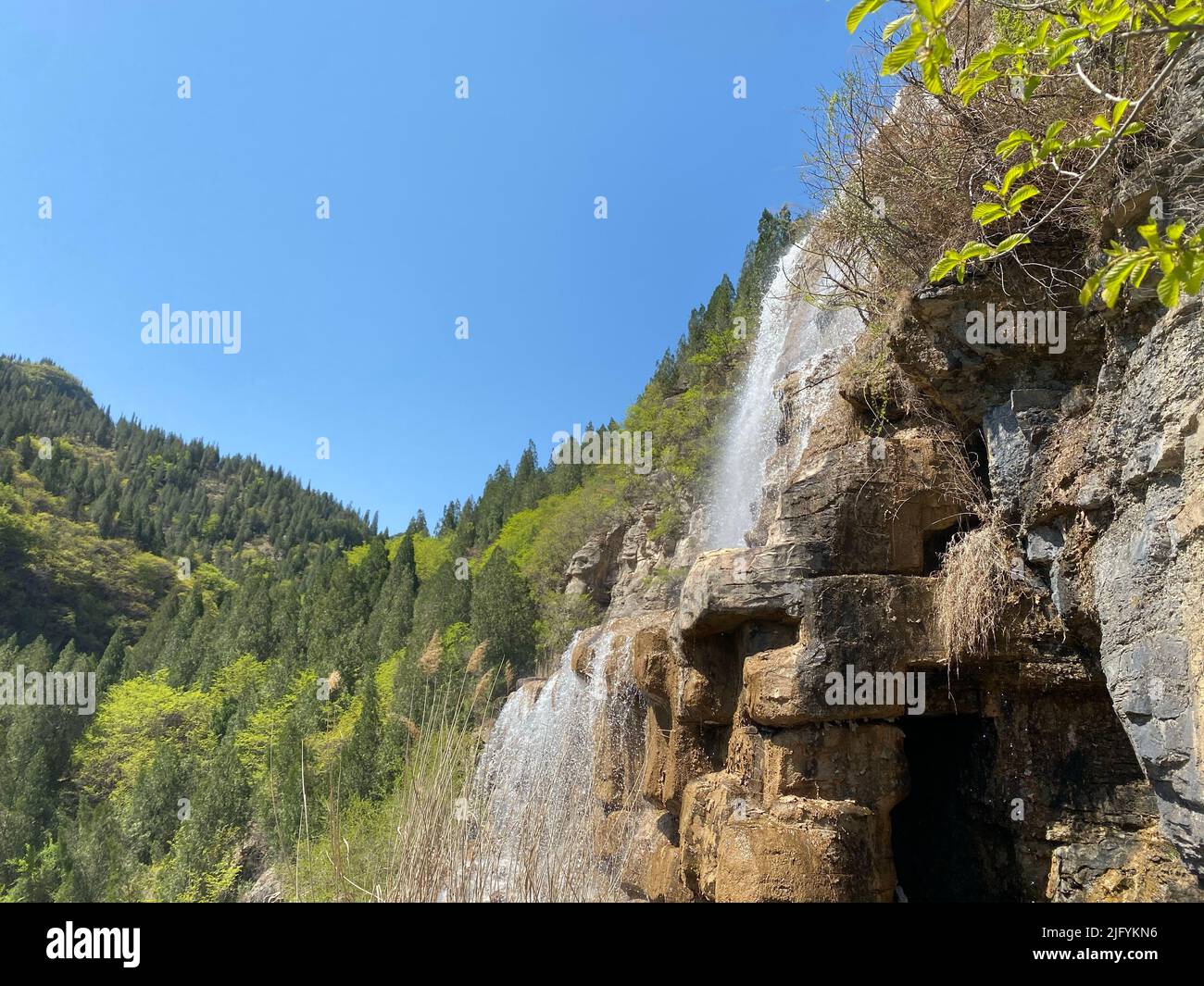 A small waterfall surounded with evergreen trees and rocks against a ...