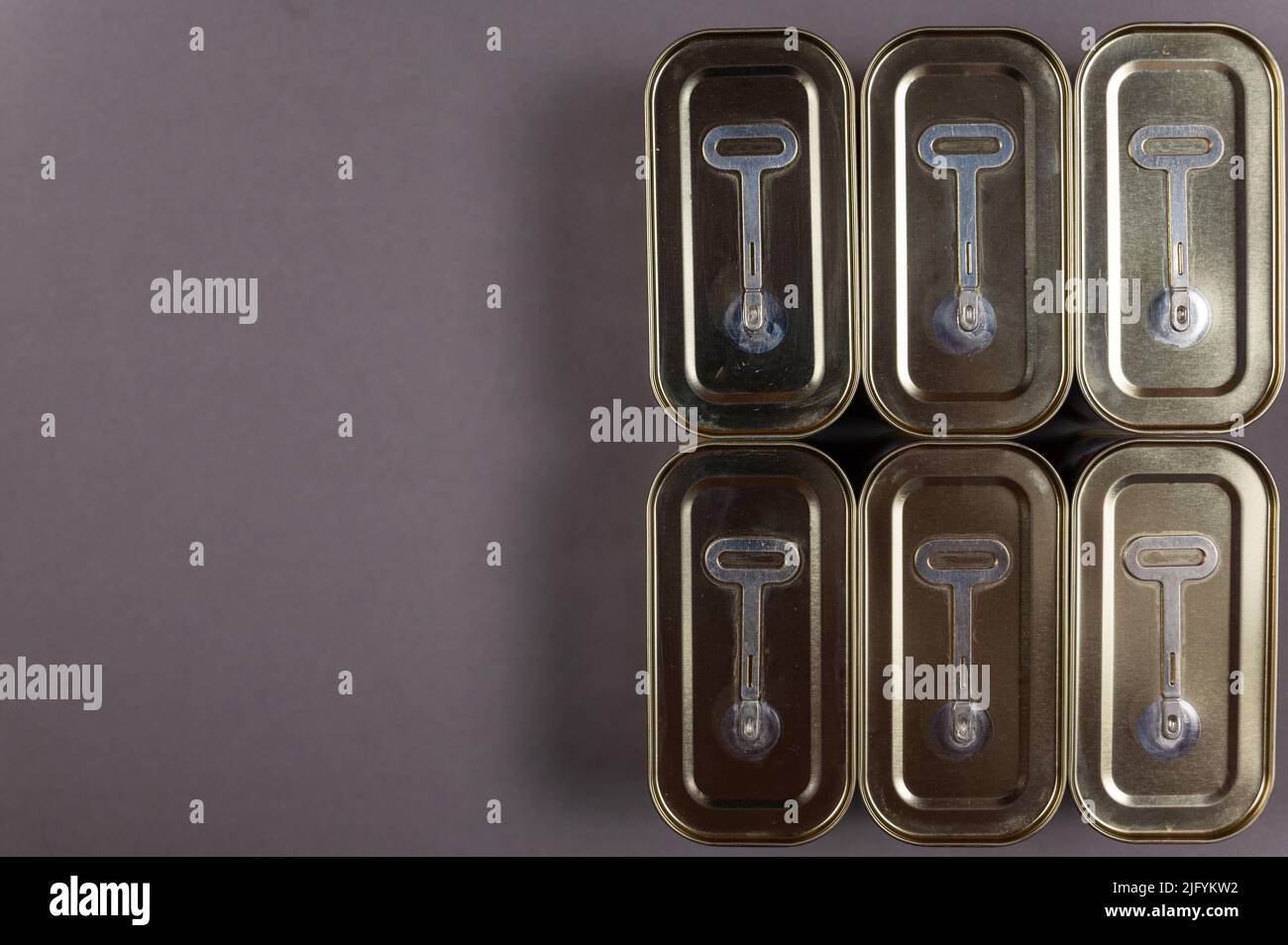 Metal canning tins against a gray background. Rectangular containers of ...