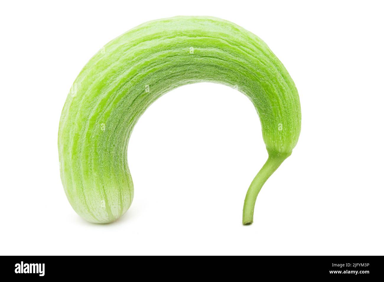 An unusual and rare delicacy - an Armenian cucumber or snake melon ...