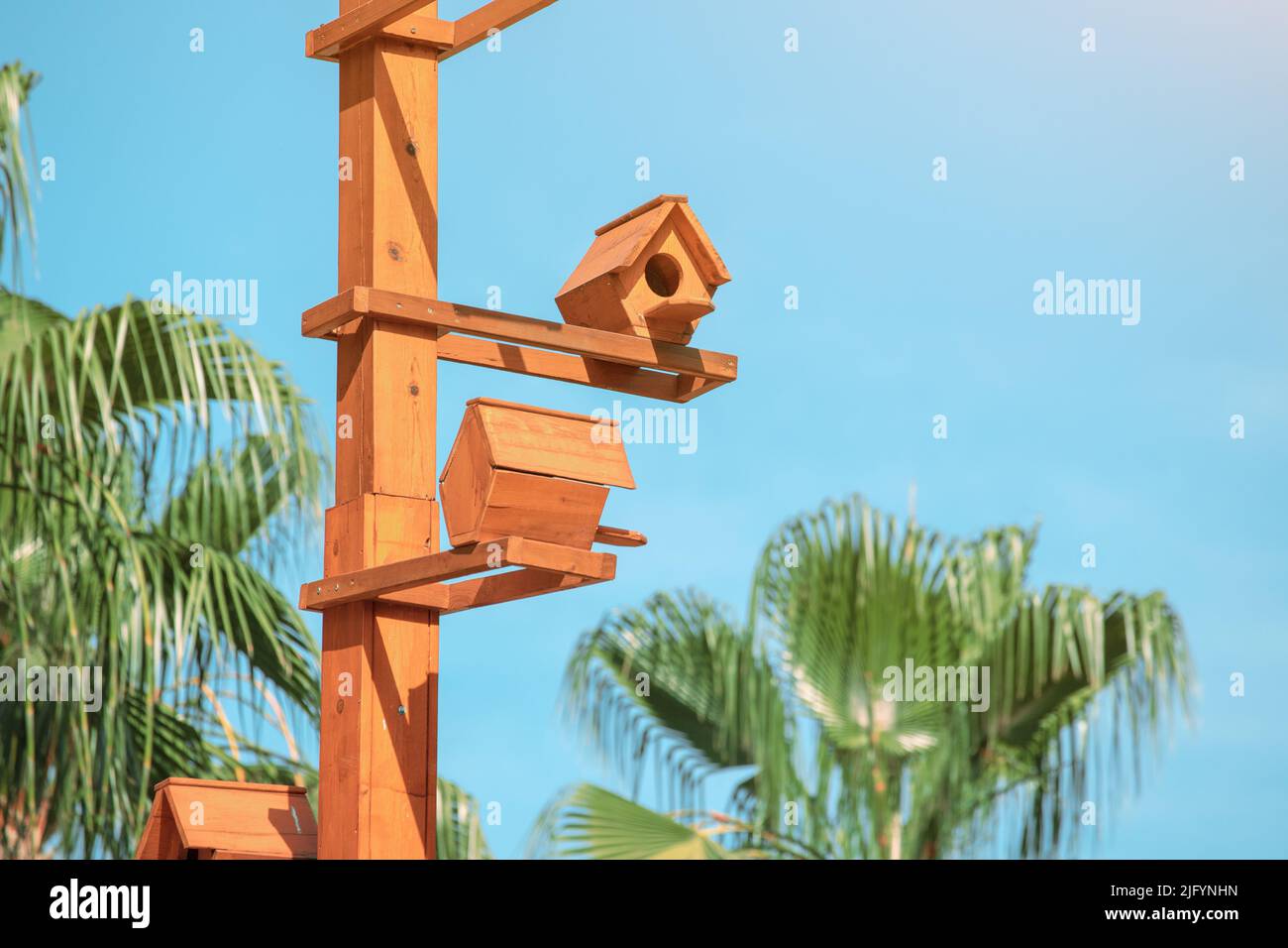 A lot of birdhouses for nesting of migratory birds on a wooden ...