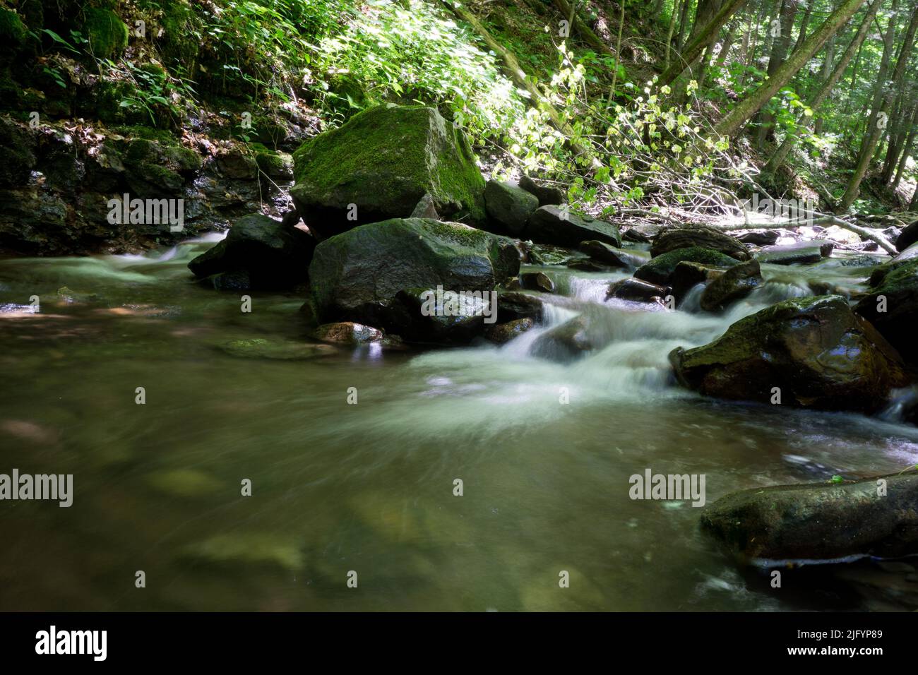 Rocks and green foliage along the stream in Double Rum Stock Photo - Alamy