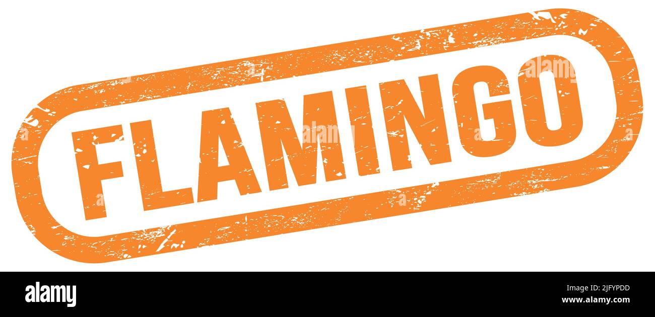 Flamingo word Cut Out Stock Images & Pictures - Alamy