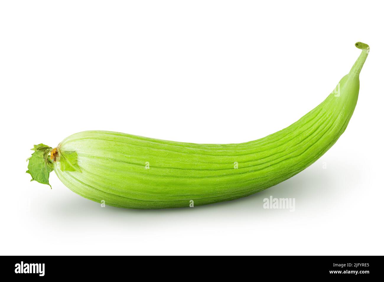 An unusual and rare delicacy - an Armenian cucumber or snake melon ...