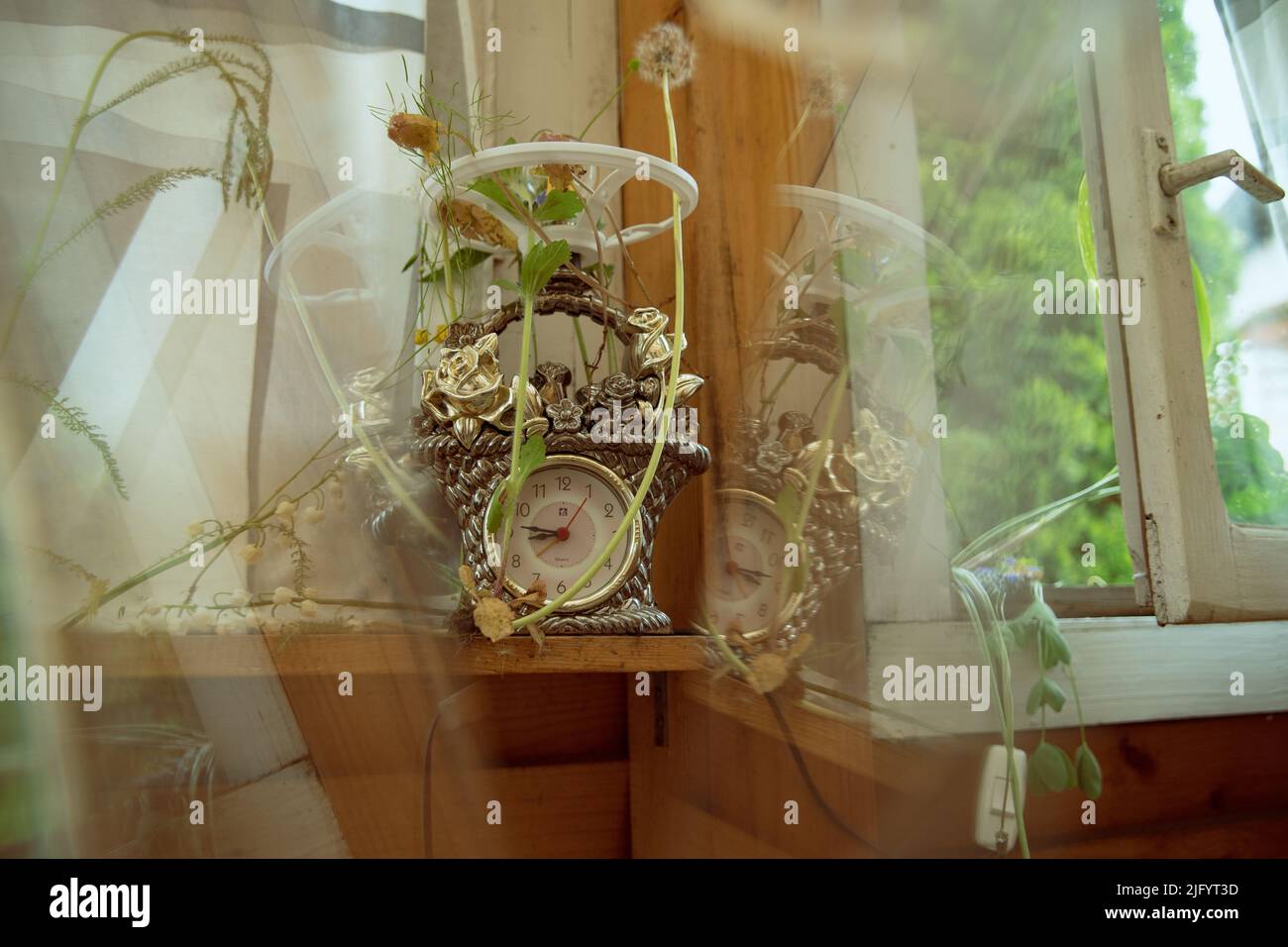 Conservation of a still life to keep it alive, contrary to the ...