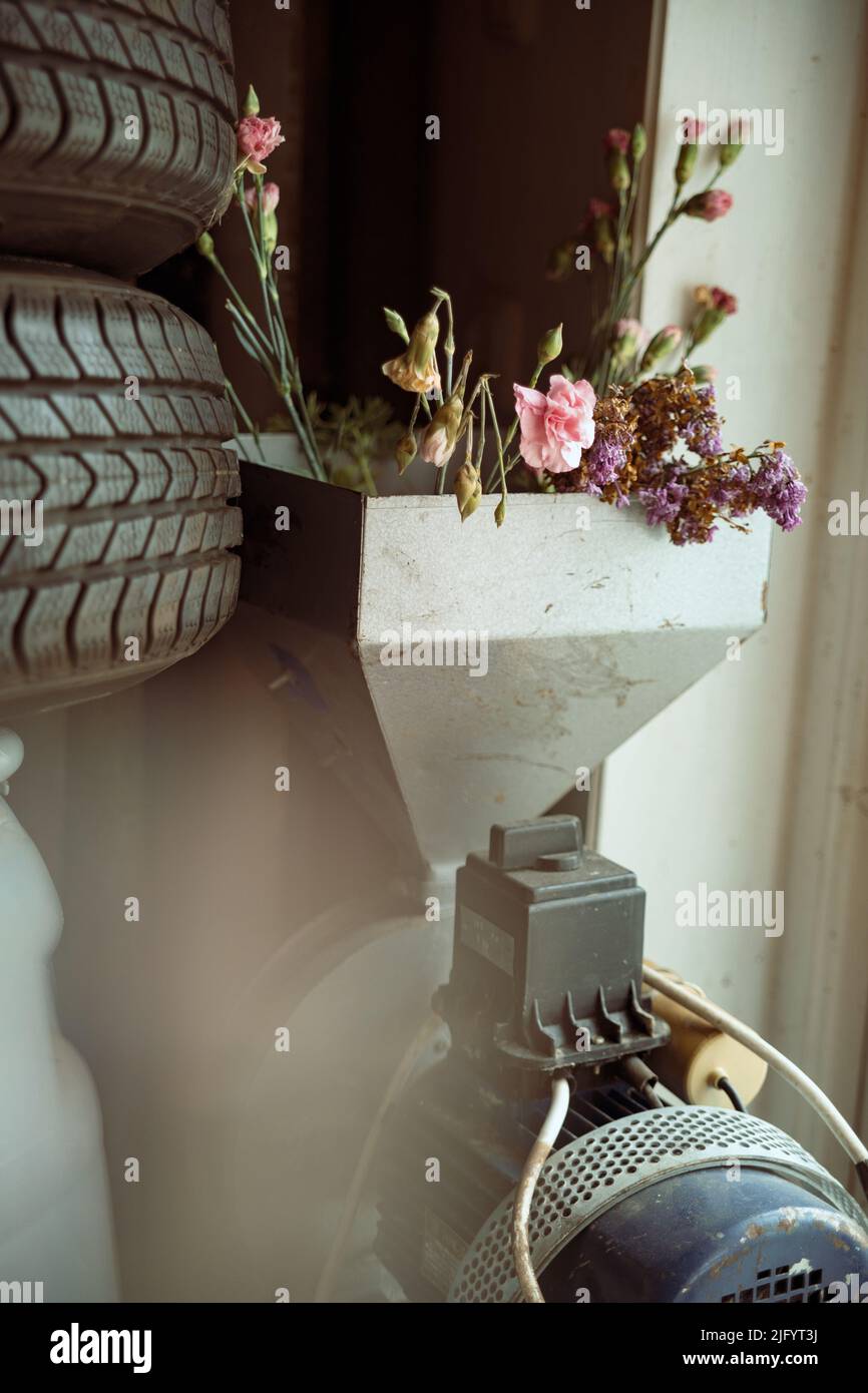 Conservation of a still life to keep it alive, contrary to the ...