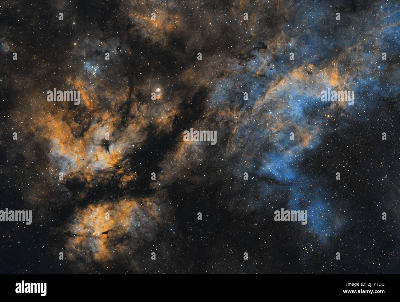 The Gamma Cygnia Nebula, also known as the Butterfly Nebula ...
