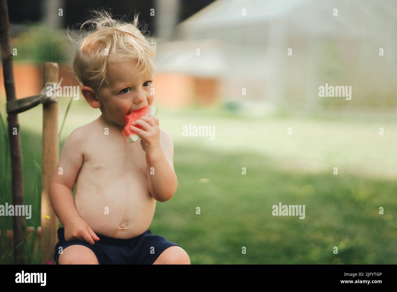 Cute little boy eating watermelon in garden in summer Stock Photo - Alamy