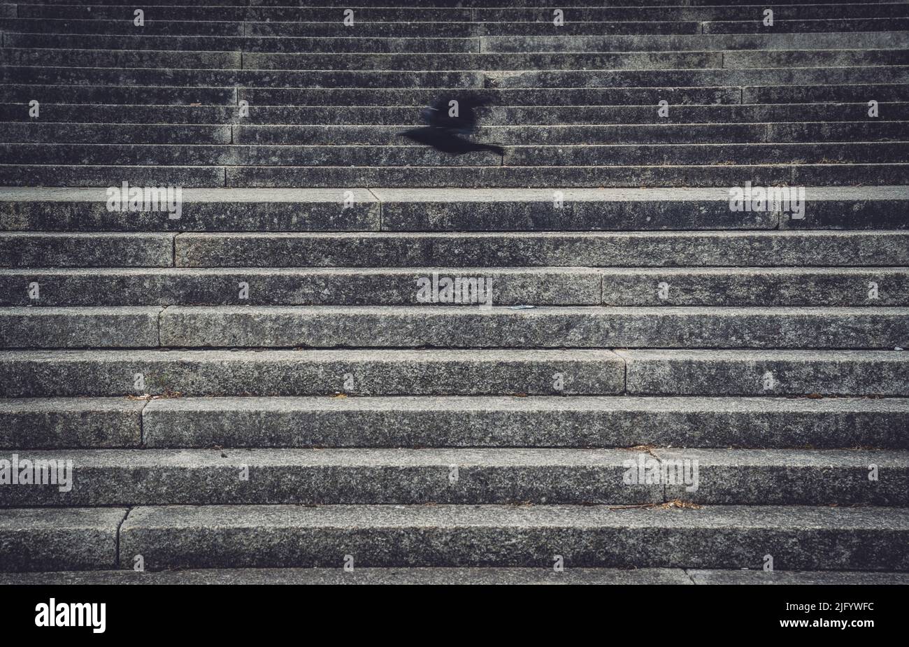 Blurred shadow of a black crow flying over concrete stairs in summer ...