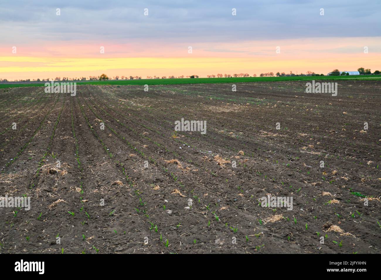 Agricultural aspirations hi-res stock photography and images - Alamy
