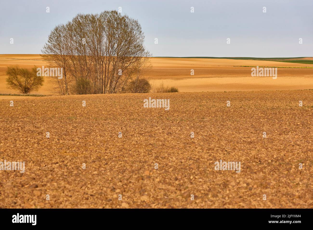 Fallow land ready to be seeding. Agricultural field. Harvest time Stock ...