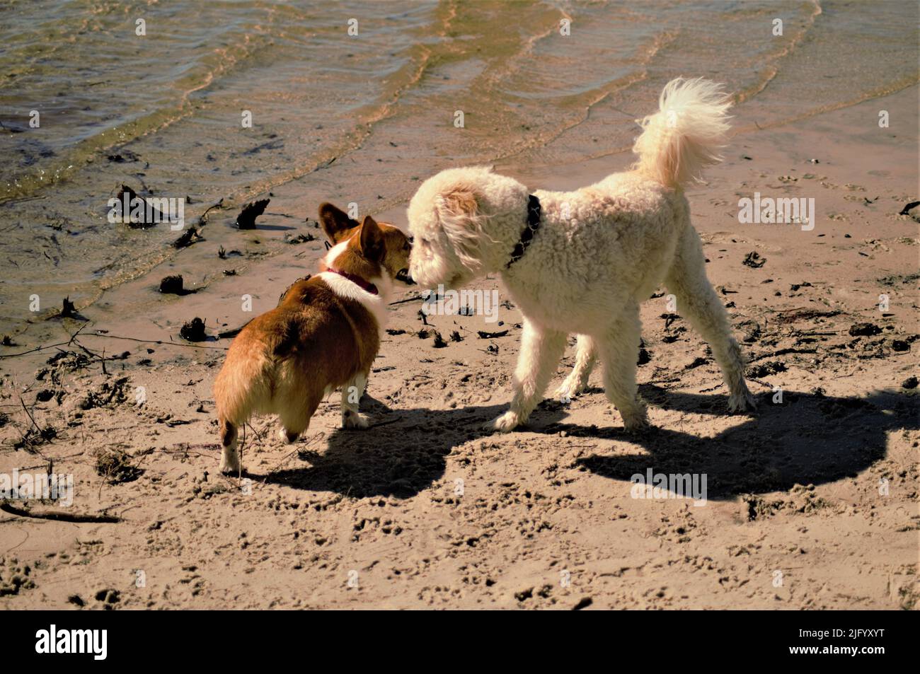 Hairy waves hi-res stock photography and images - Alamy