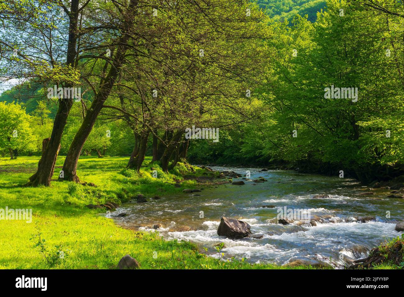 spring landscape with river among park. mountains in the distance ...
