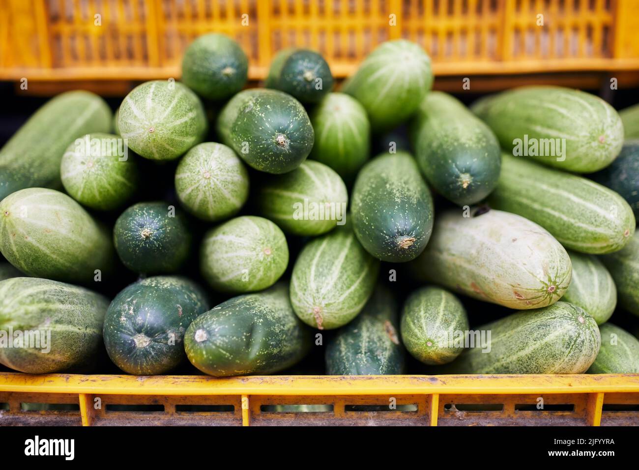 Selective focus on cucumber. Sale of fresh raw vegetable in market ...