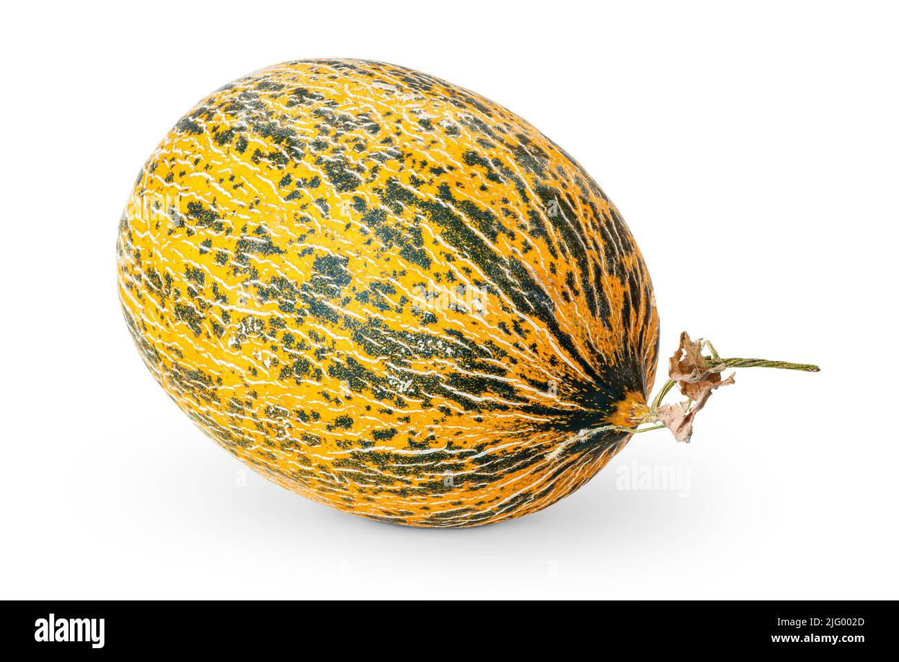 Sweet and bright melon of the kirkagac or altinbas variety isolated on ...