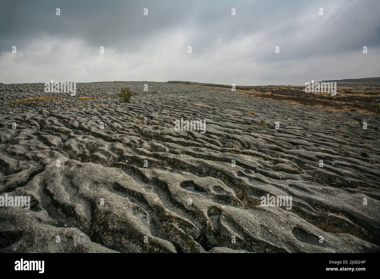 Great Asby Scar is an area of high ground lying between the villages of ...