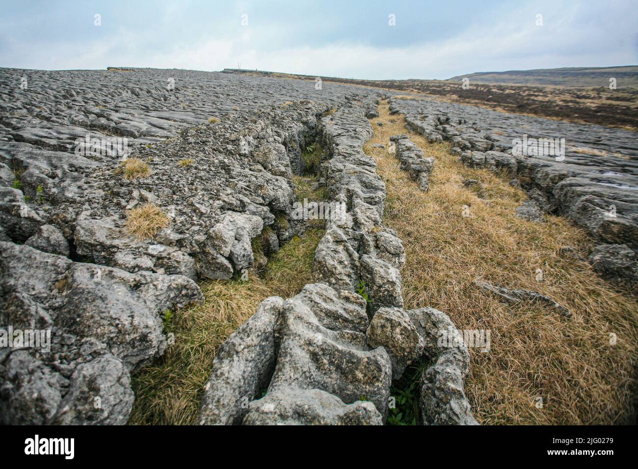 Great Asby Scar is an area of high ground lying between the villages of ...