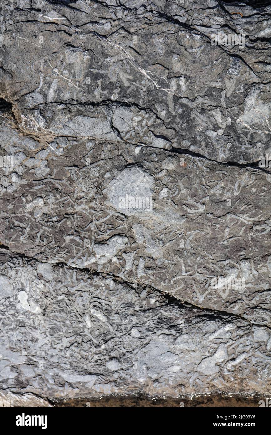 Triangle Point is a small promontory of overturned Middle Devonian ...