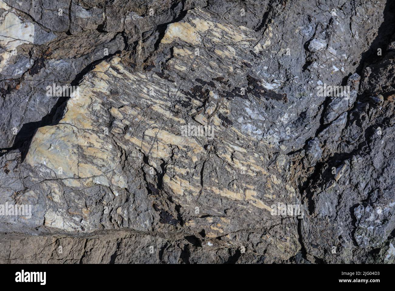 Triangle Point is a small promontory of overturned Middle Devonian ...