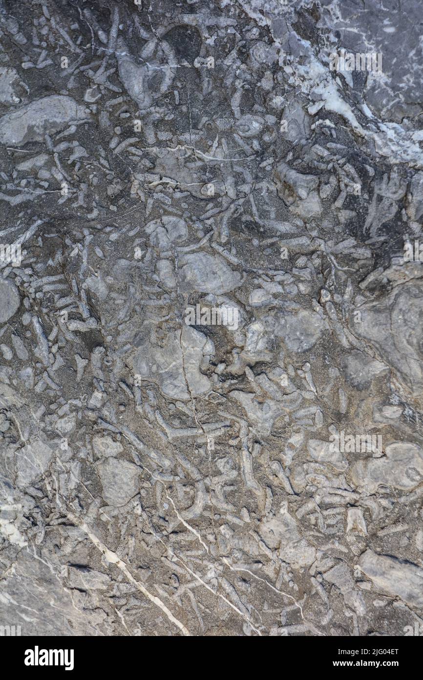 Triangle Point is a small promontory of overturned Middle Devonian ...