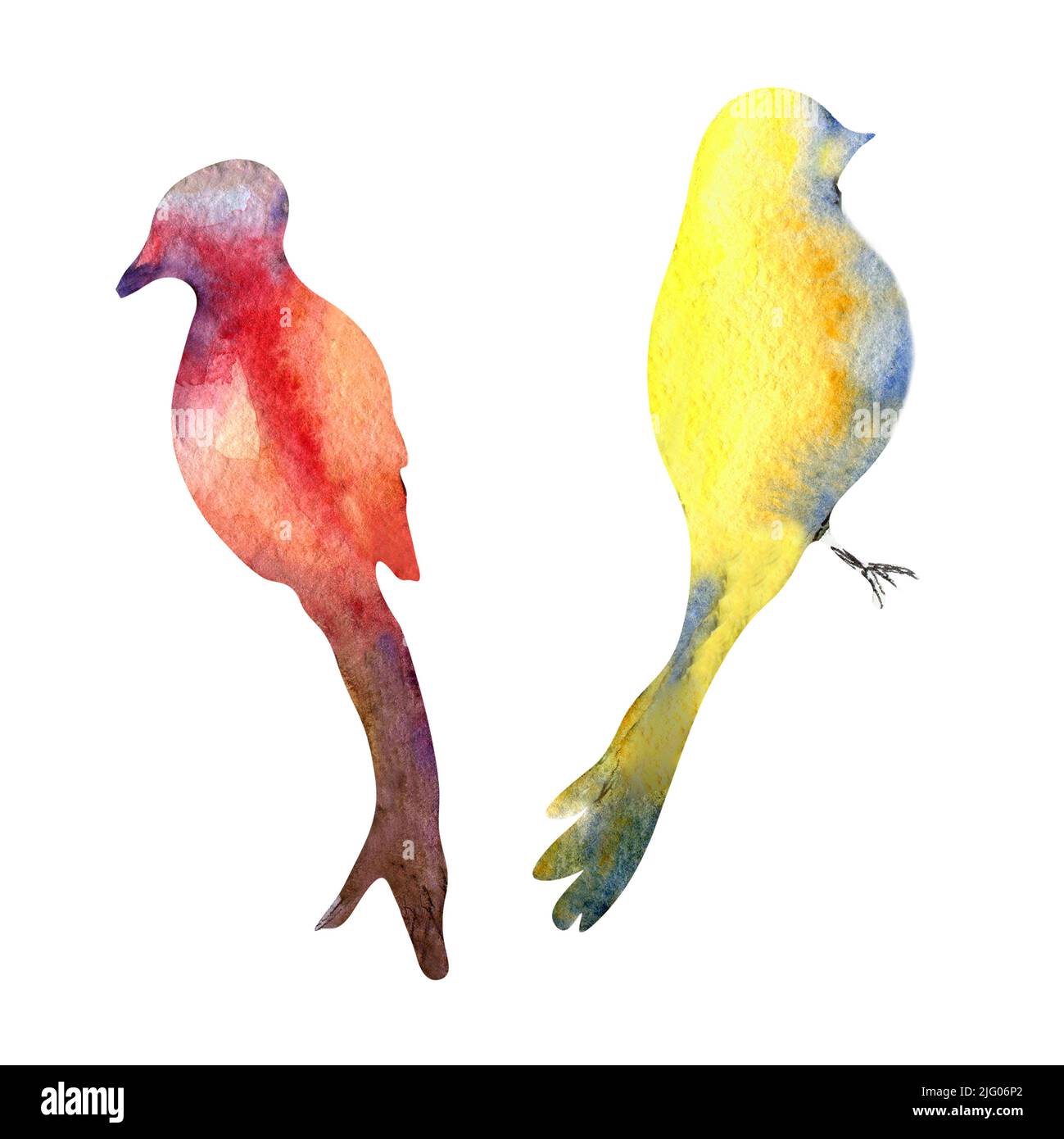 Colorful birds silhouette watercolor illustration white background ...